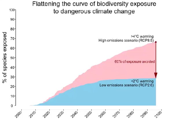 Observatorio Nacional de Prospectiva